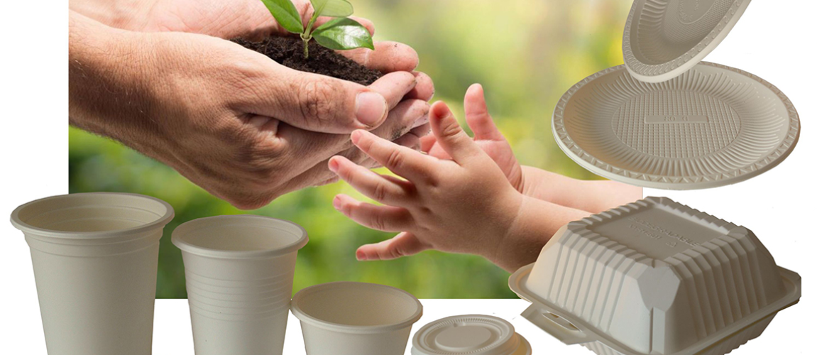 Generalidades de los desechables biodegradables - Plasticentro